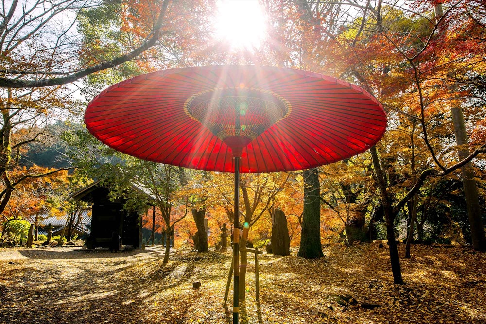 Entonces y ahora - Akizuki